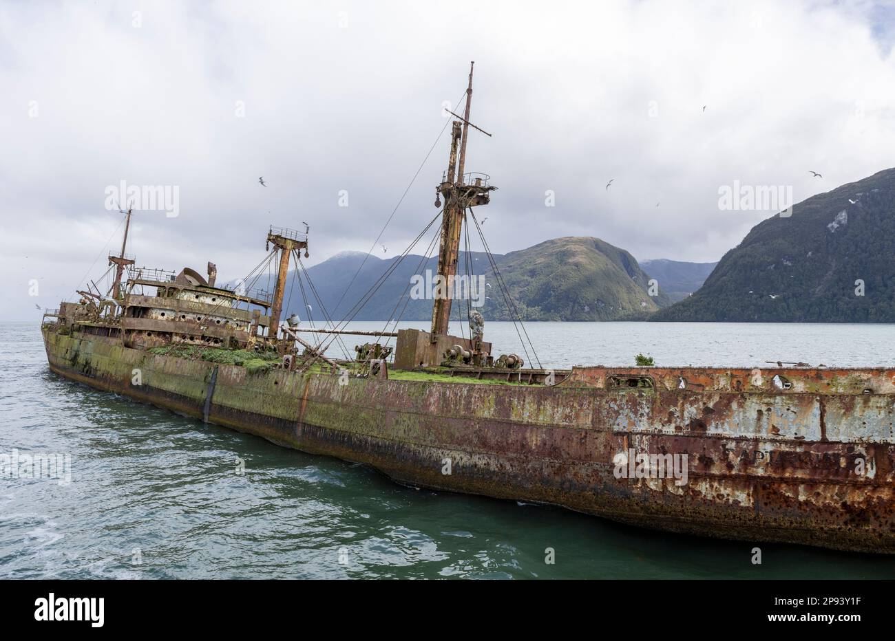Wreck of MV Captain Leonidas, a freighter that ran aground on the Bajo ...