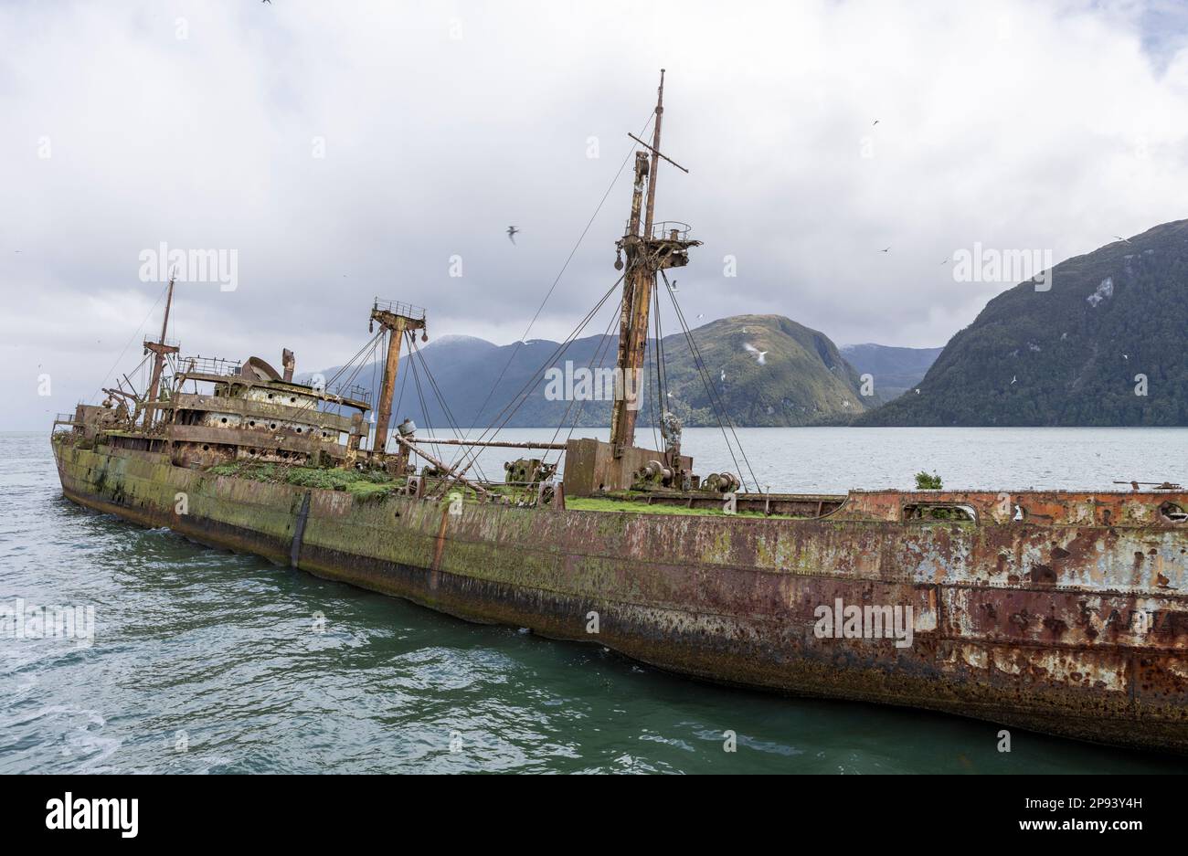 Wreck of MV Captain Leonidas, a freighter that ran aground on the Bajo ...
