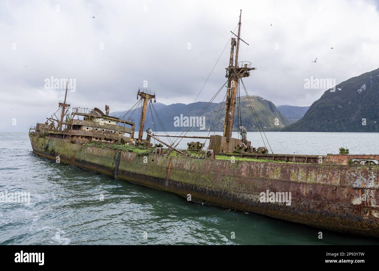 Wreck of MV Captain Leonidas, a freighter that ran aground on the Bajo ...