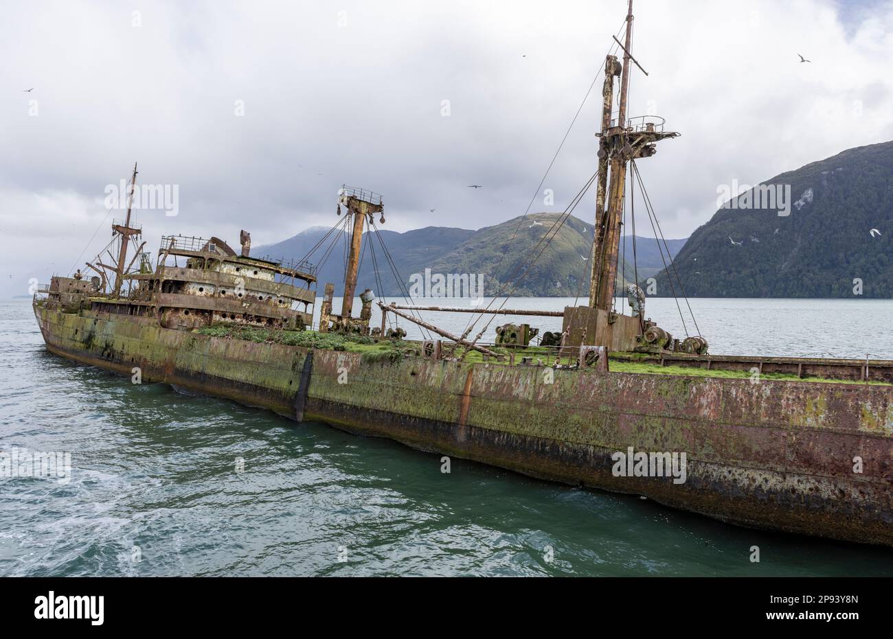 Wreck of MV Captain Leonidas, a freighter that ran aground on the Bajo ...