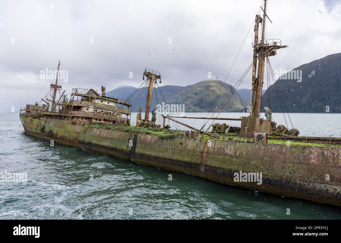Wreck of MV Captain Leonidas, a freighter that ran aground on the Bajo ...