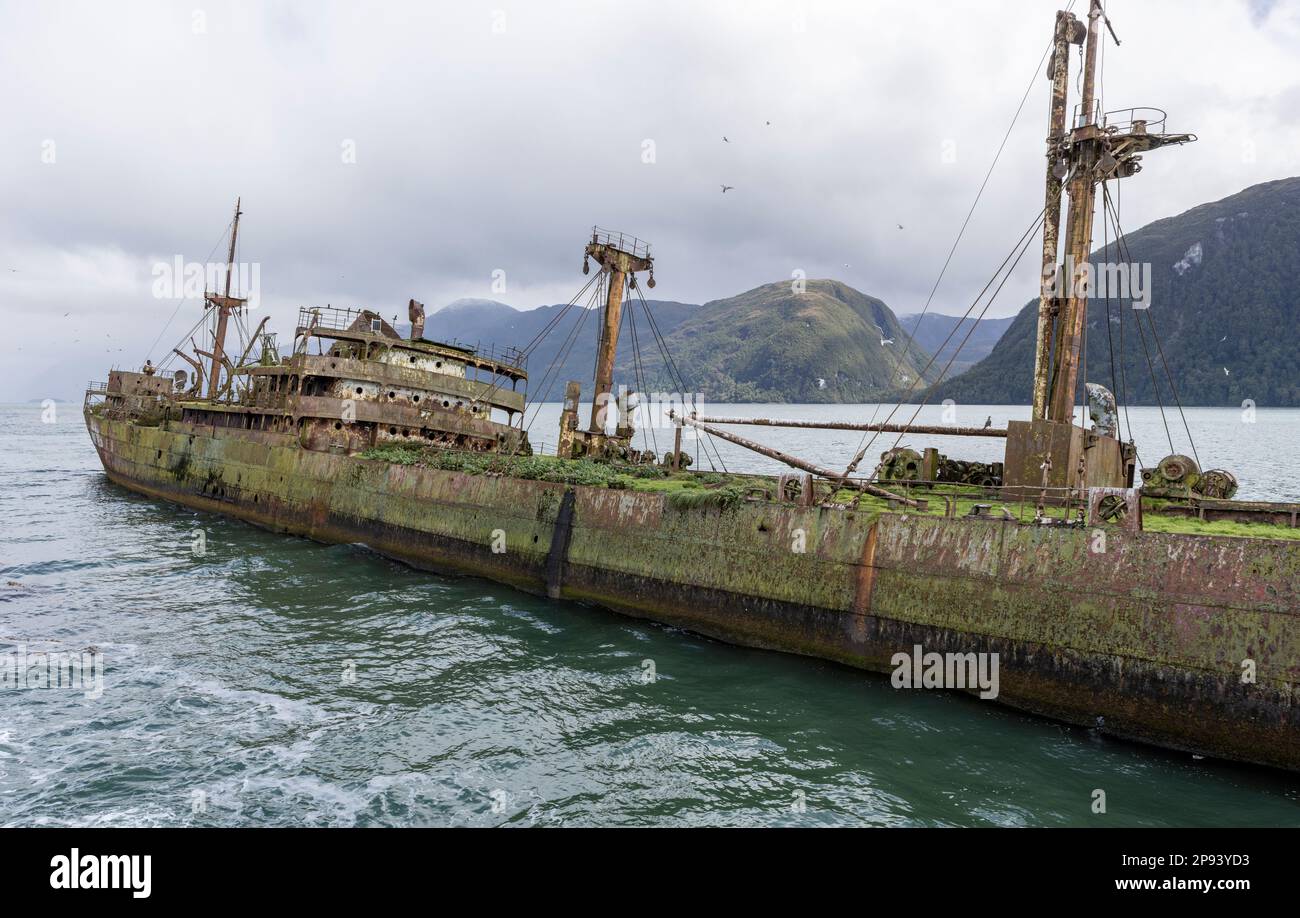 Wreck of MV Captain Leonidas, a freighter that ran aground on the Bajo ...