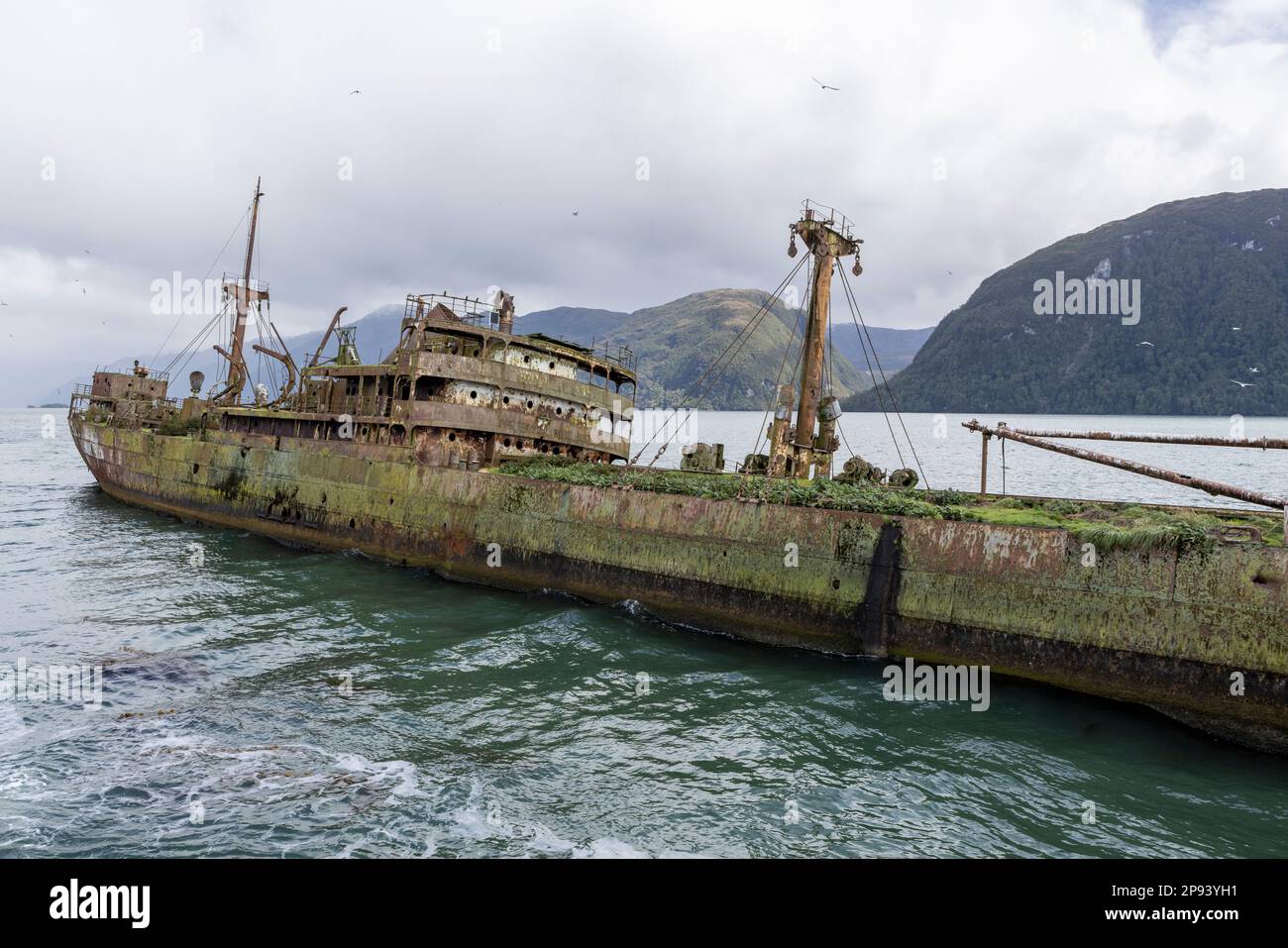 Wreck of MV Captain Leonidas, a freighter that ran aground on the Bajo ...