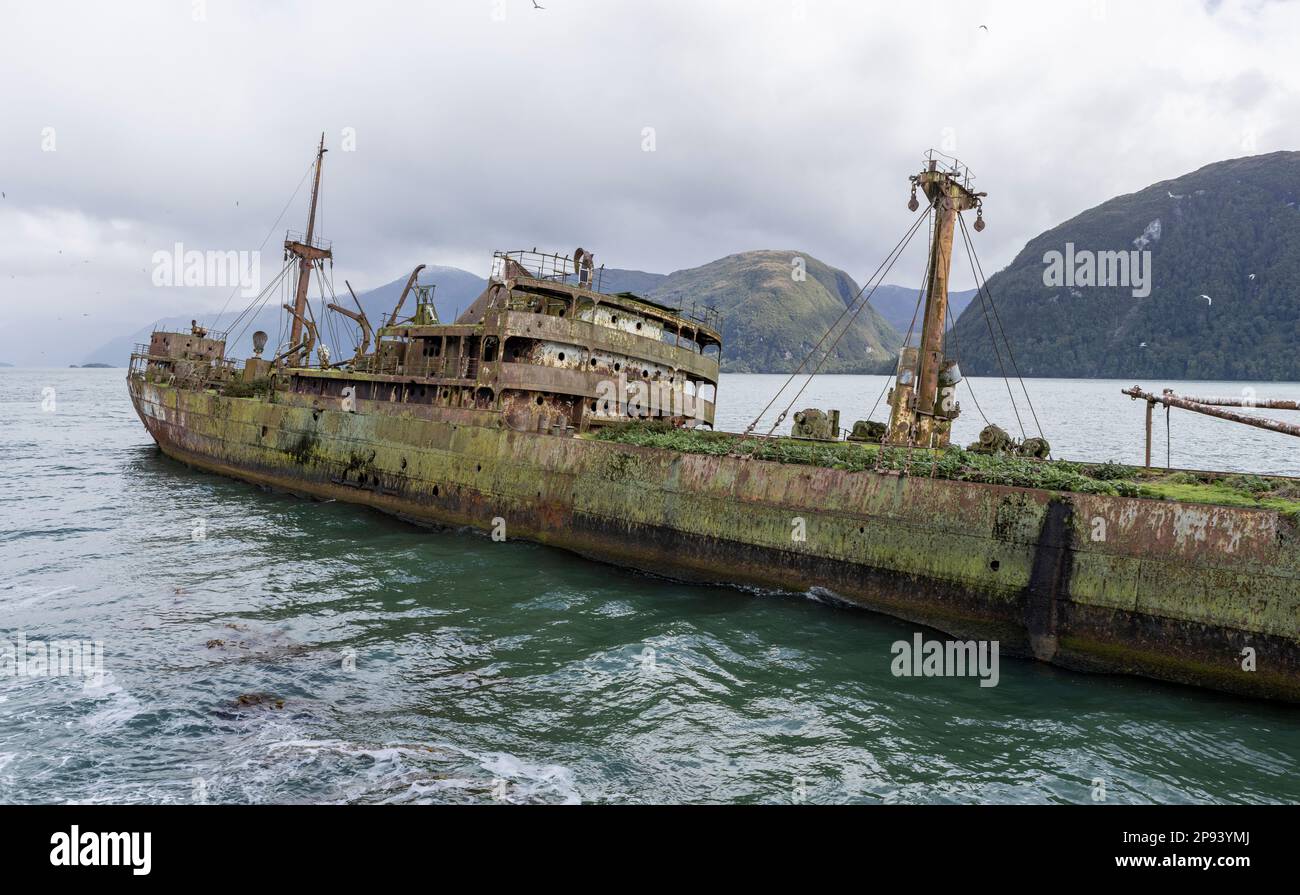 Wreck of MV Captain Leonidas, a freighter that ran aground on the Bajo ...