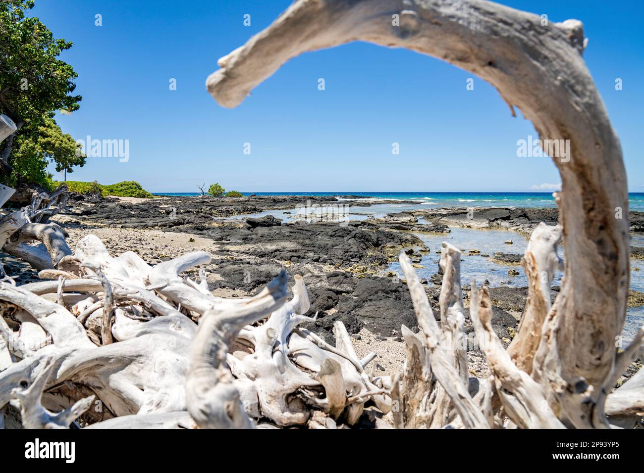 Driftwood on beach, Big Island, Hawaii, USA, Polynesia, Oceania Stock ...