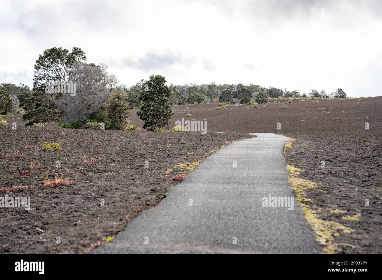 Path through a lava field of Kilauea, Hawai'i Volcanoes National Park ...