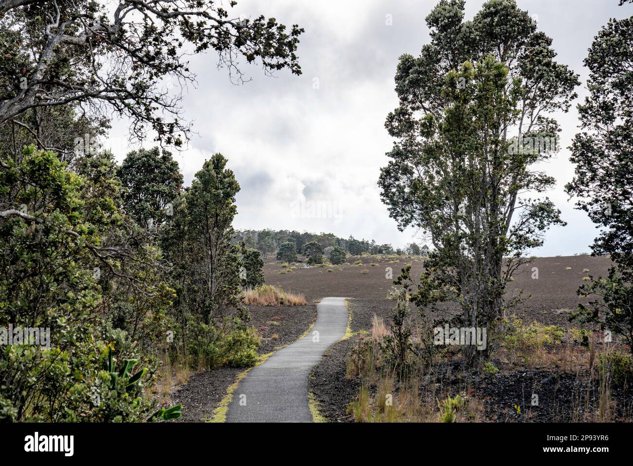 Path through a lava field of Kilauea, Hawai'i Volcanoes National Park ...