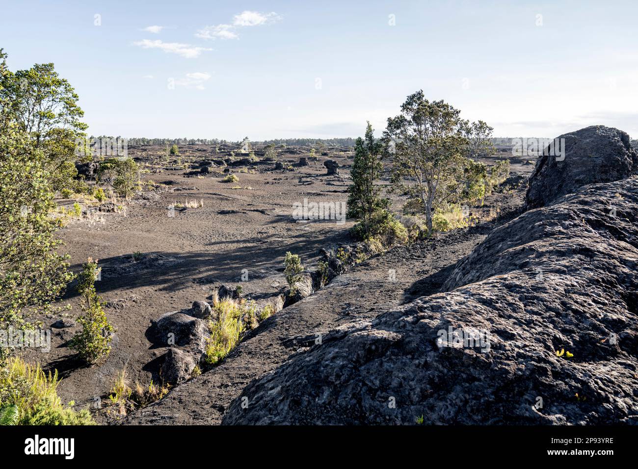 Mauna Ulu Eruption Trail, Kilauea, Hawai'i Volcanoes National Park, Big ...