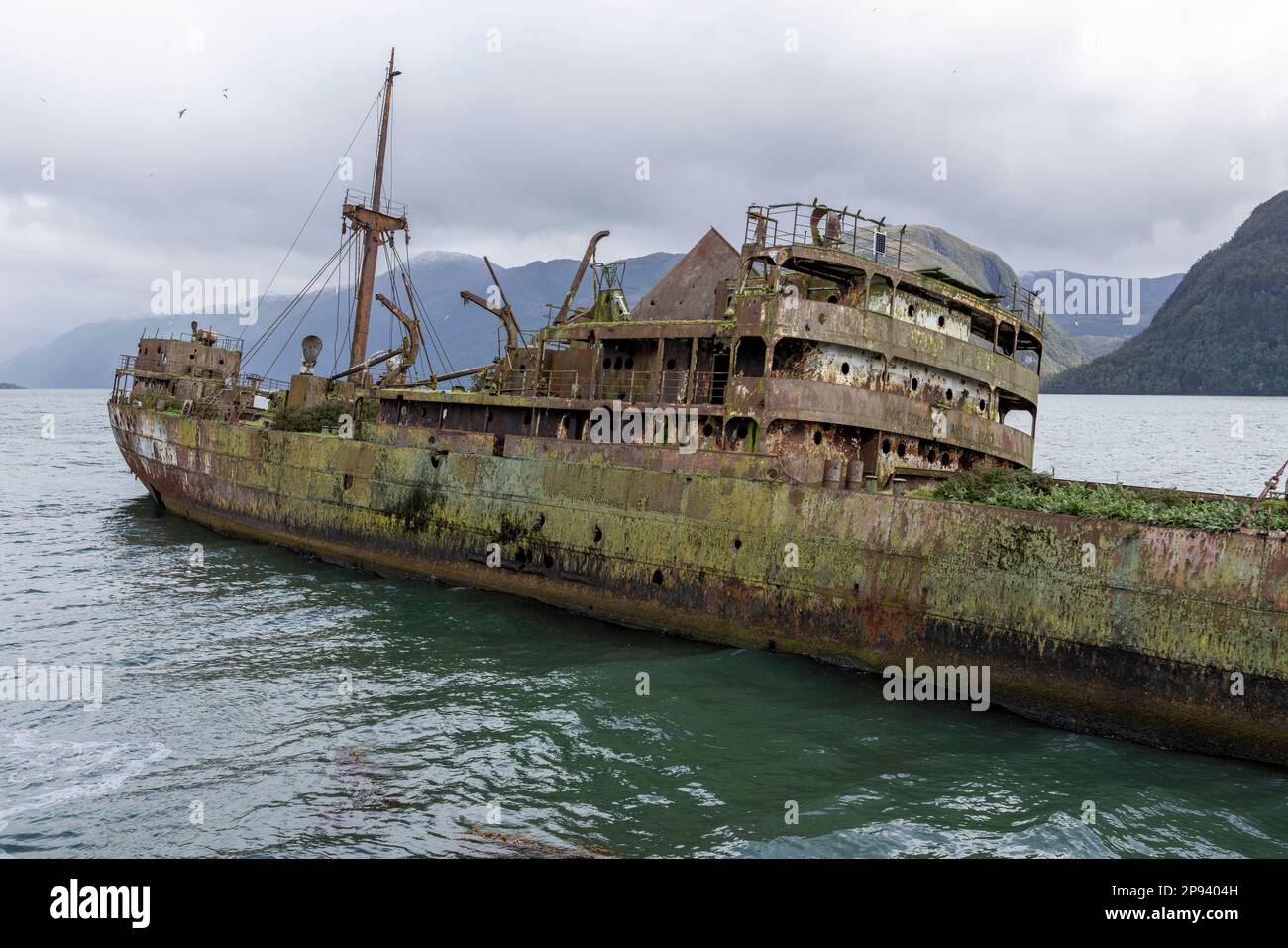 Wreck of MV Captain Leonidas, a freighter that ran aground on the Bajo ...