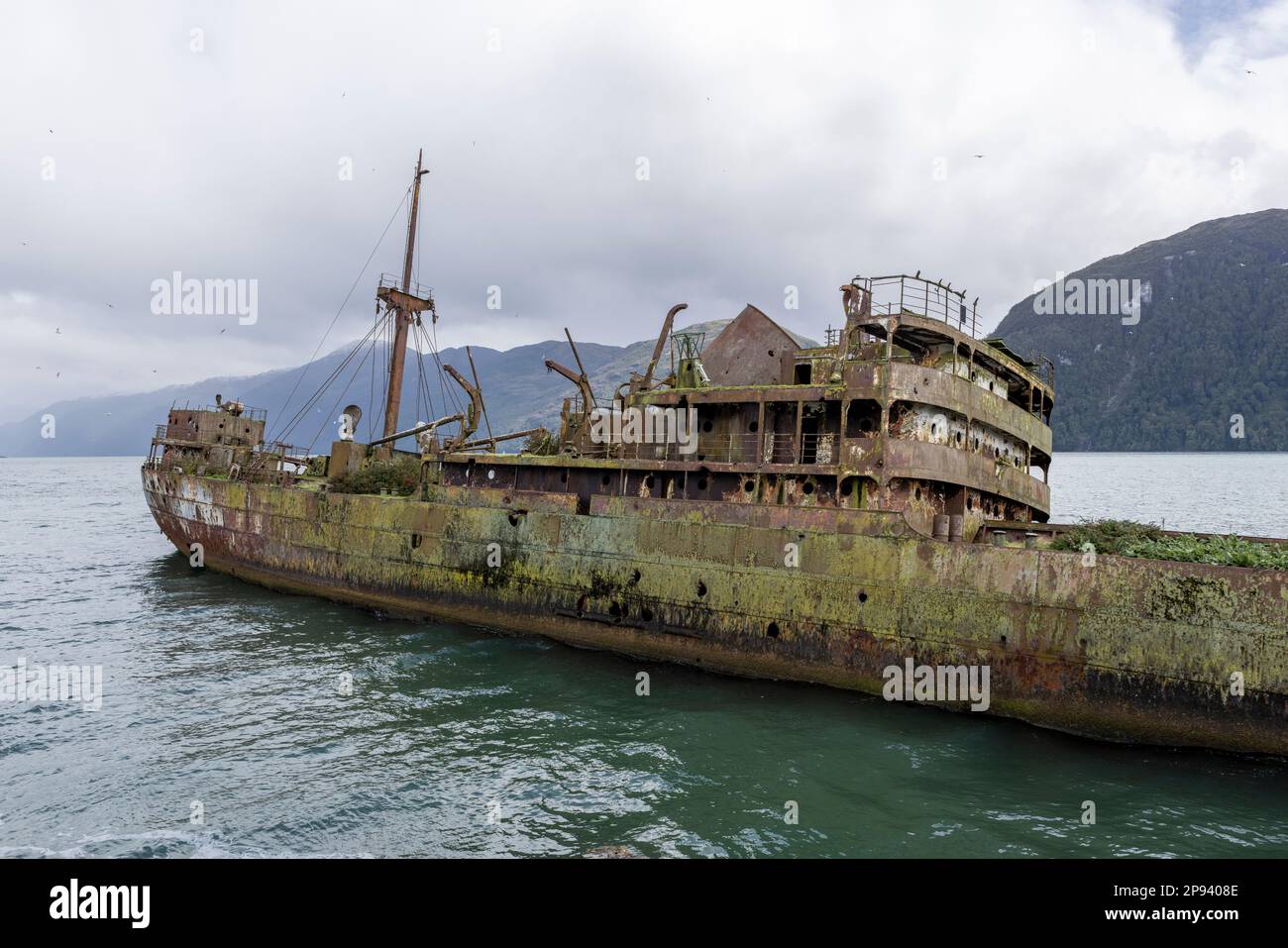 Wreck of MV Captain Leonidas, a freighter that ran aground on the Bajo ...