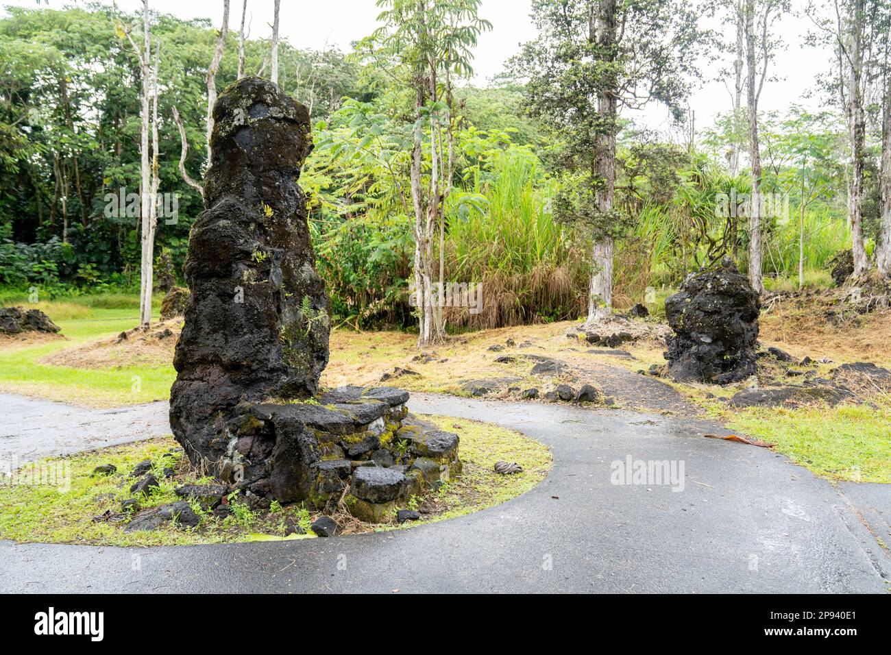 Tree trunks enclosed by lava in Lava Tree State Monument, Big Island ...
