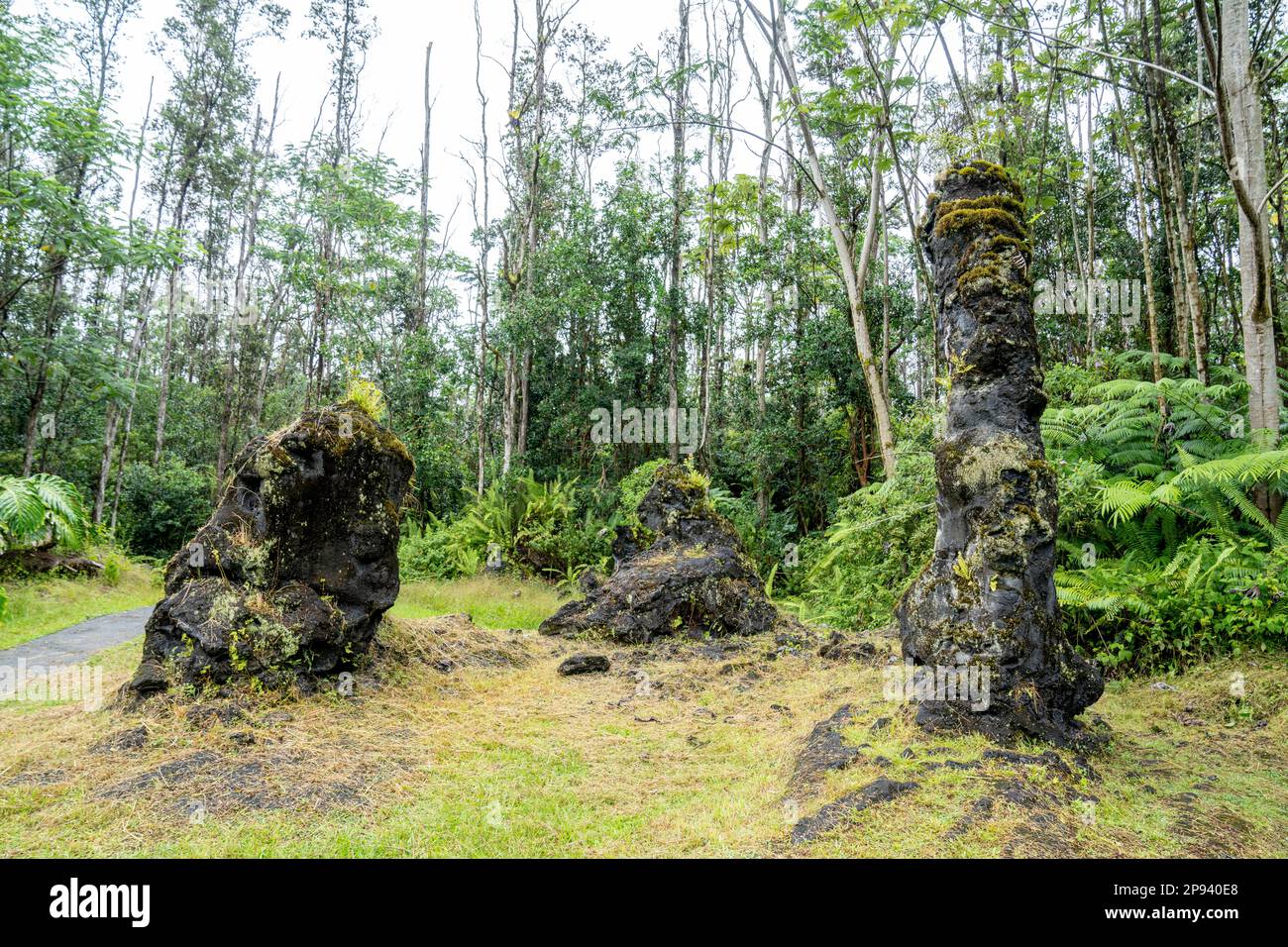 Tree trunks enclosed by lava in Lava Tree State Monument, Big Island ...