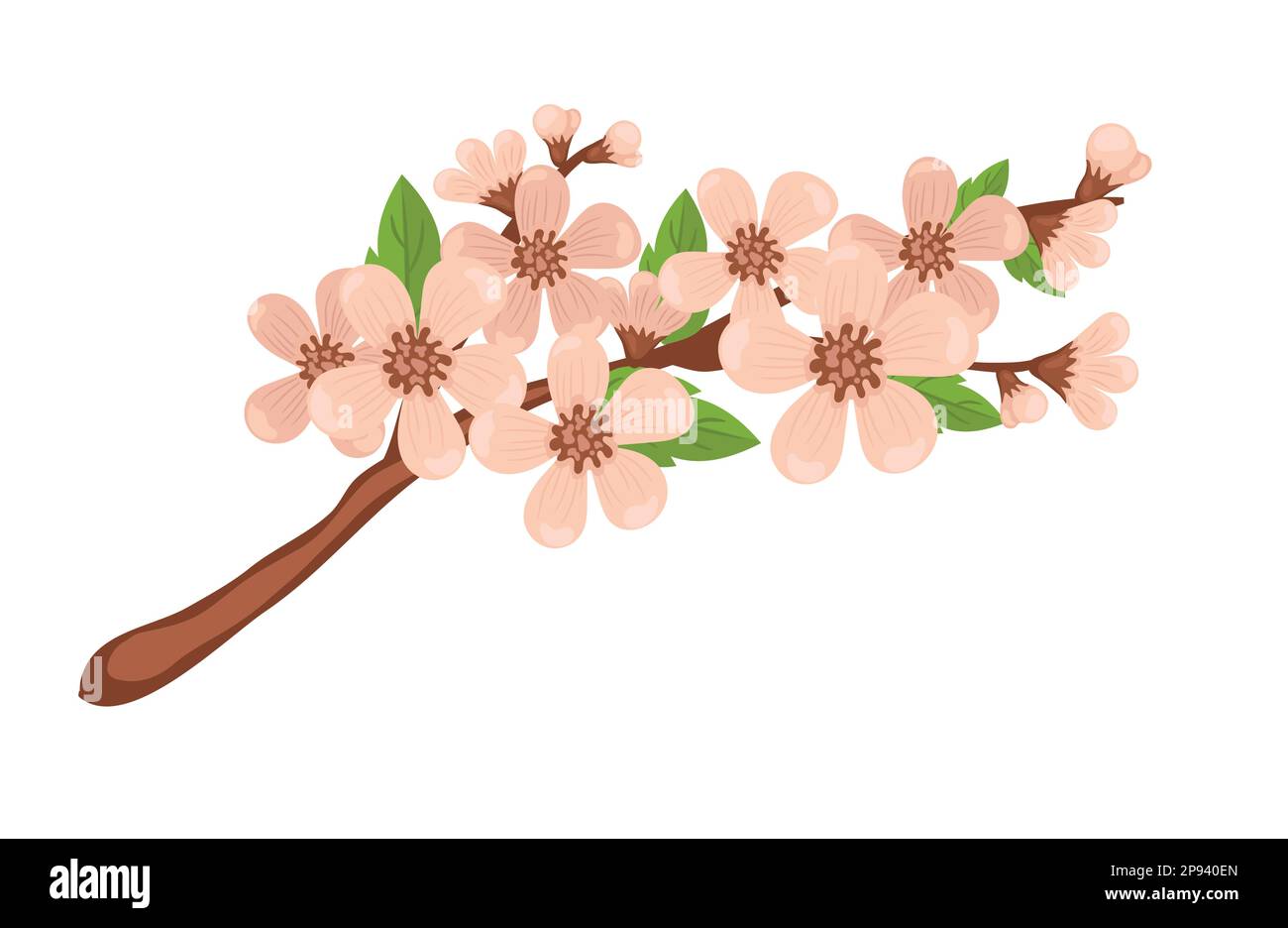 Decoration cherry blossom sakura Stock Vector Images - Alamy