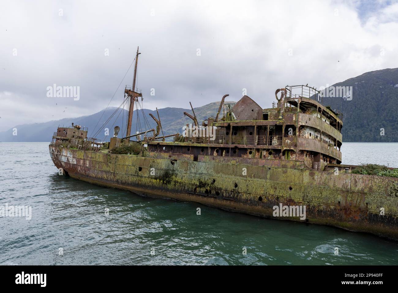 Wreck of MV Captain Leonidas, a freighter that ran aground on the Bajo ...