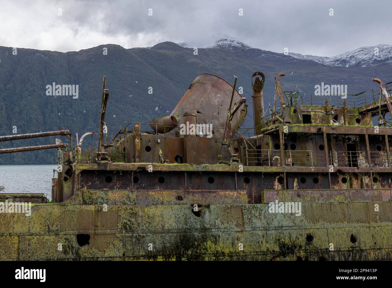 Wreck of MV Captain Leonidas, a freighter that ran aground on the Bajo ...