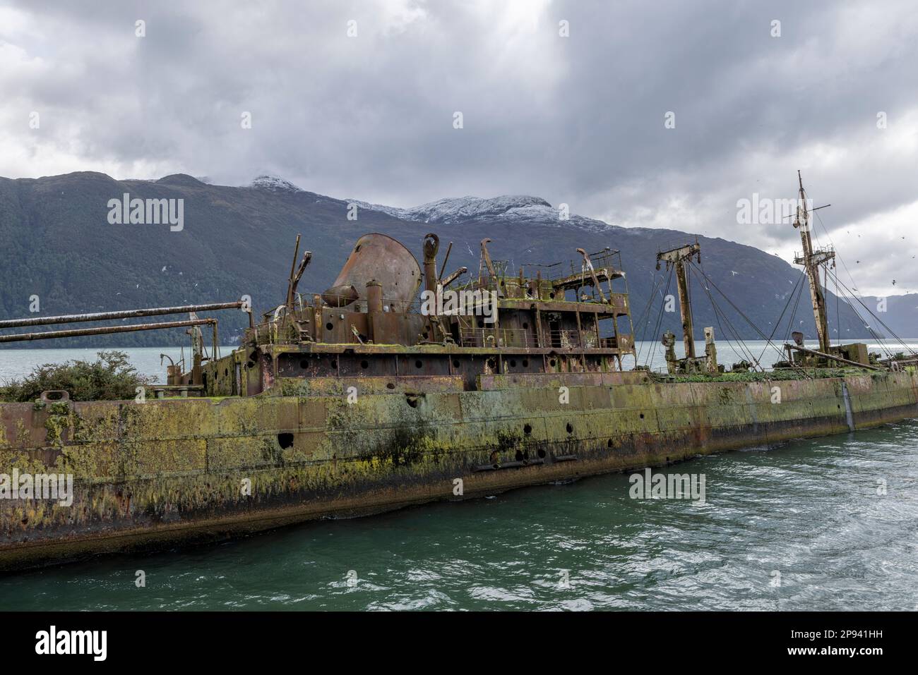 Wreck of MV Captain Leonidas, a freighter that ran aground on the Bajo ...