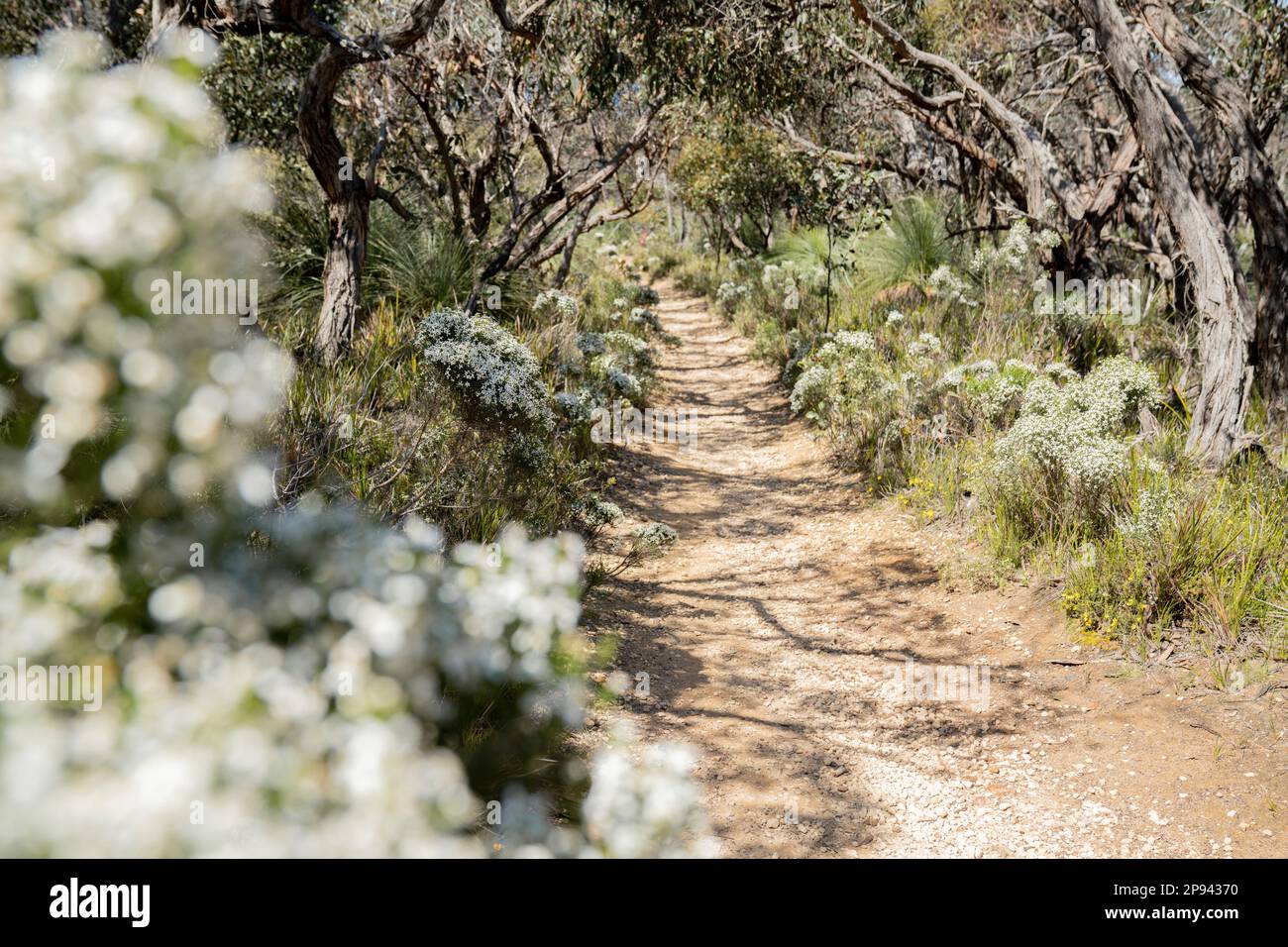 Koorie cultural walk hi-res stock photography and images - Alamy