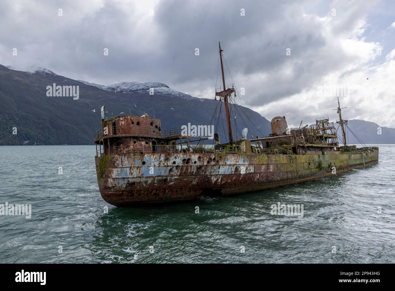 Wreck of MV Captain Leonidas, a freighter that ran aground on the Bajo ...
