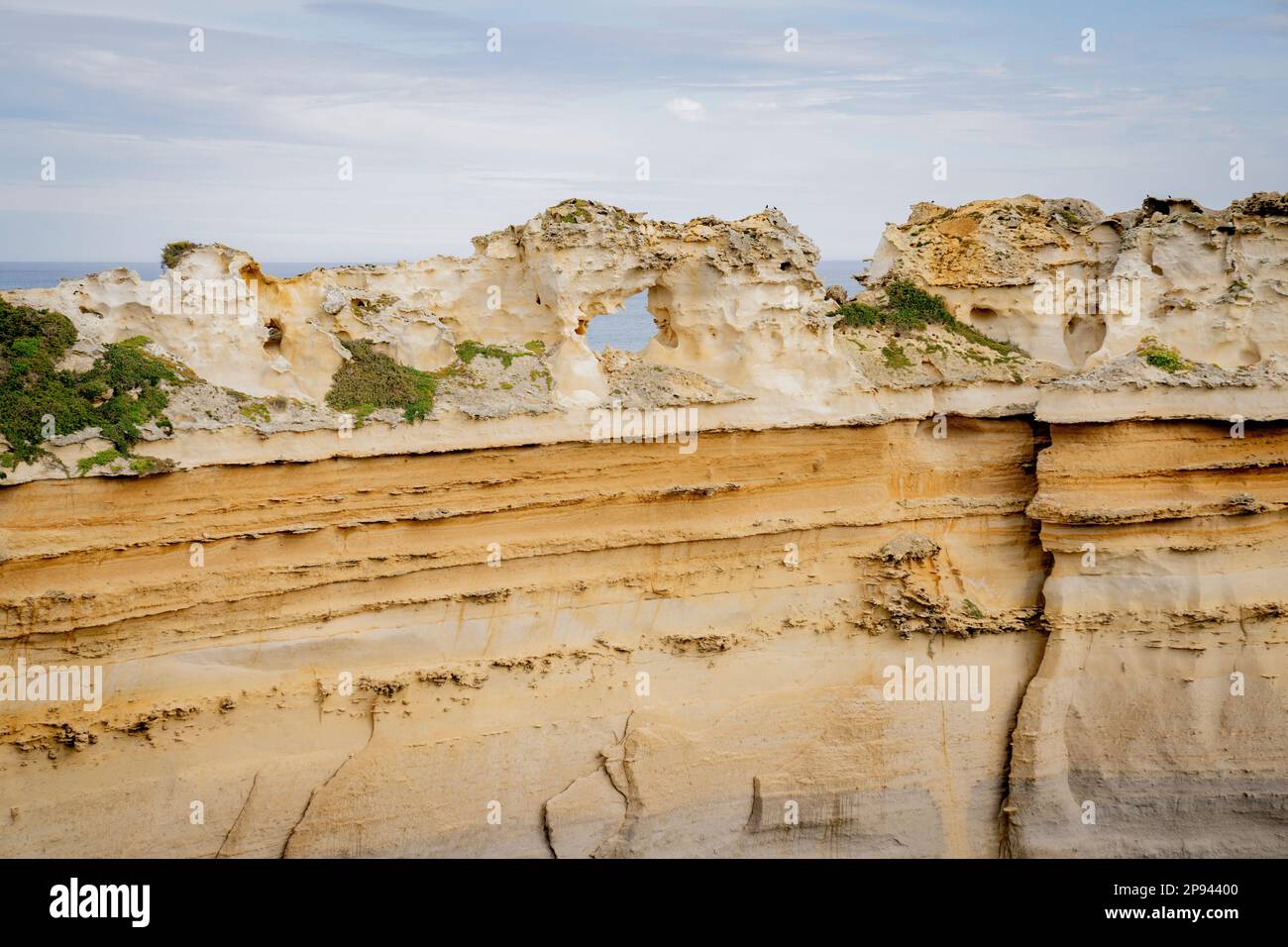 Razorback hi-res stock photography and images - Alamy