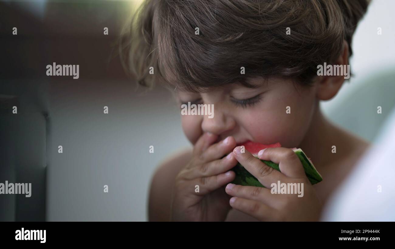 Candid child taking a bite of red watermelon fruit. One small boy ...