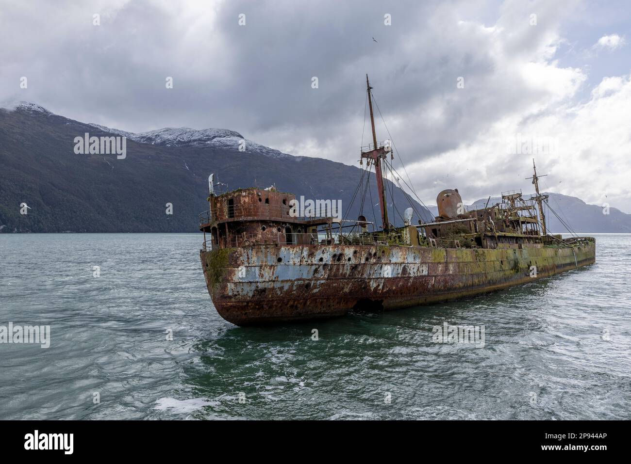 Wreck of MV Captain Leonidas, a freighter that ran aground on the Bajo ...