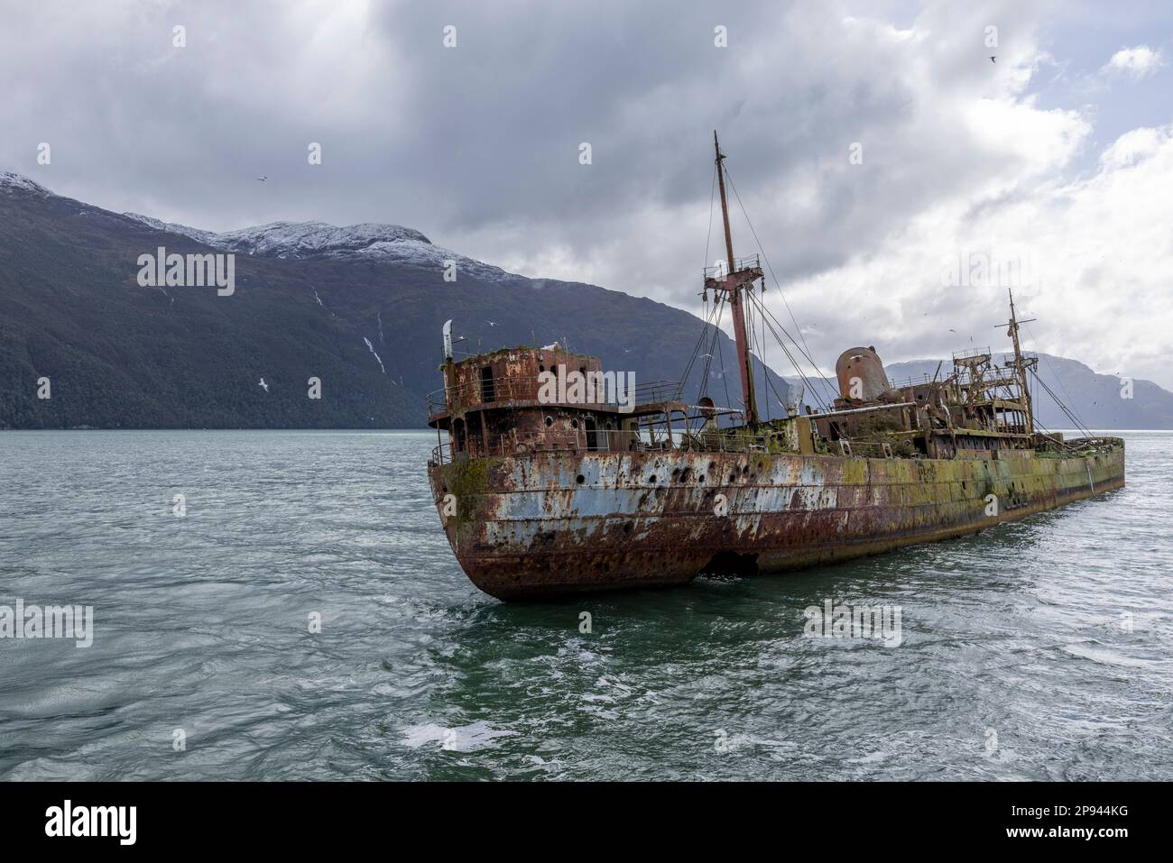 Wreck of MV Captain Leonidas, a freighter that ran aground on the Bajo ...