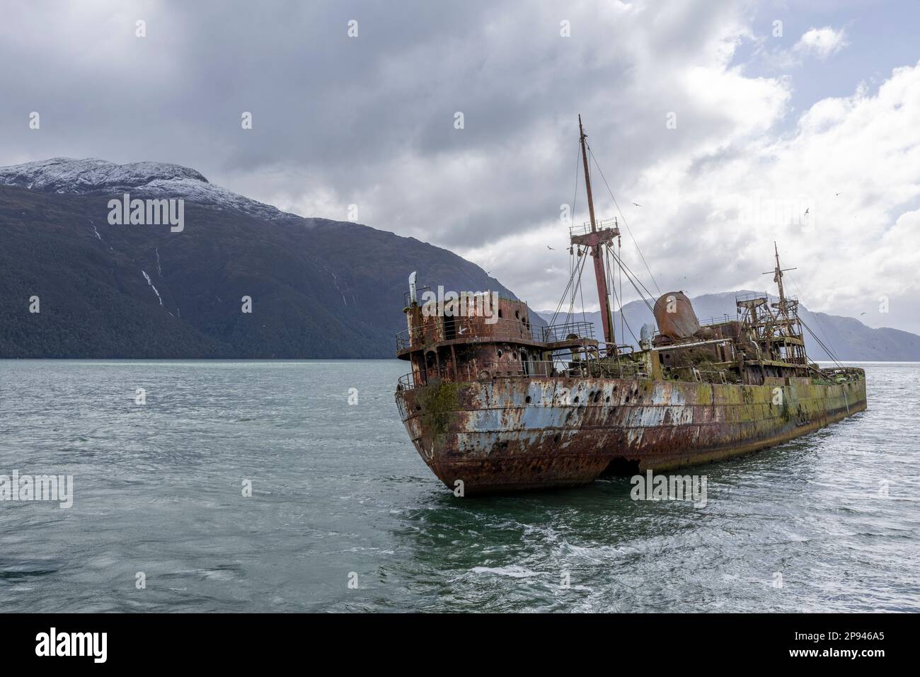 Wreck of MV Captain Leonidas, a freighter that ran aground on the Bajo ...