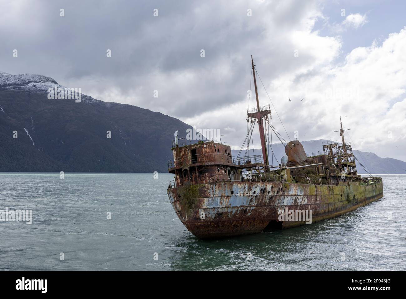 Wreck of MV Captain Leonidas, a freighter that ran aground on the Bajo ...