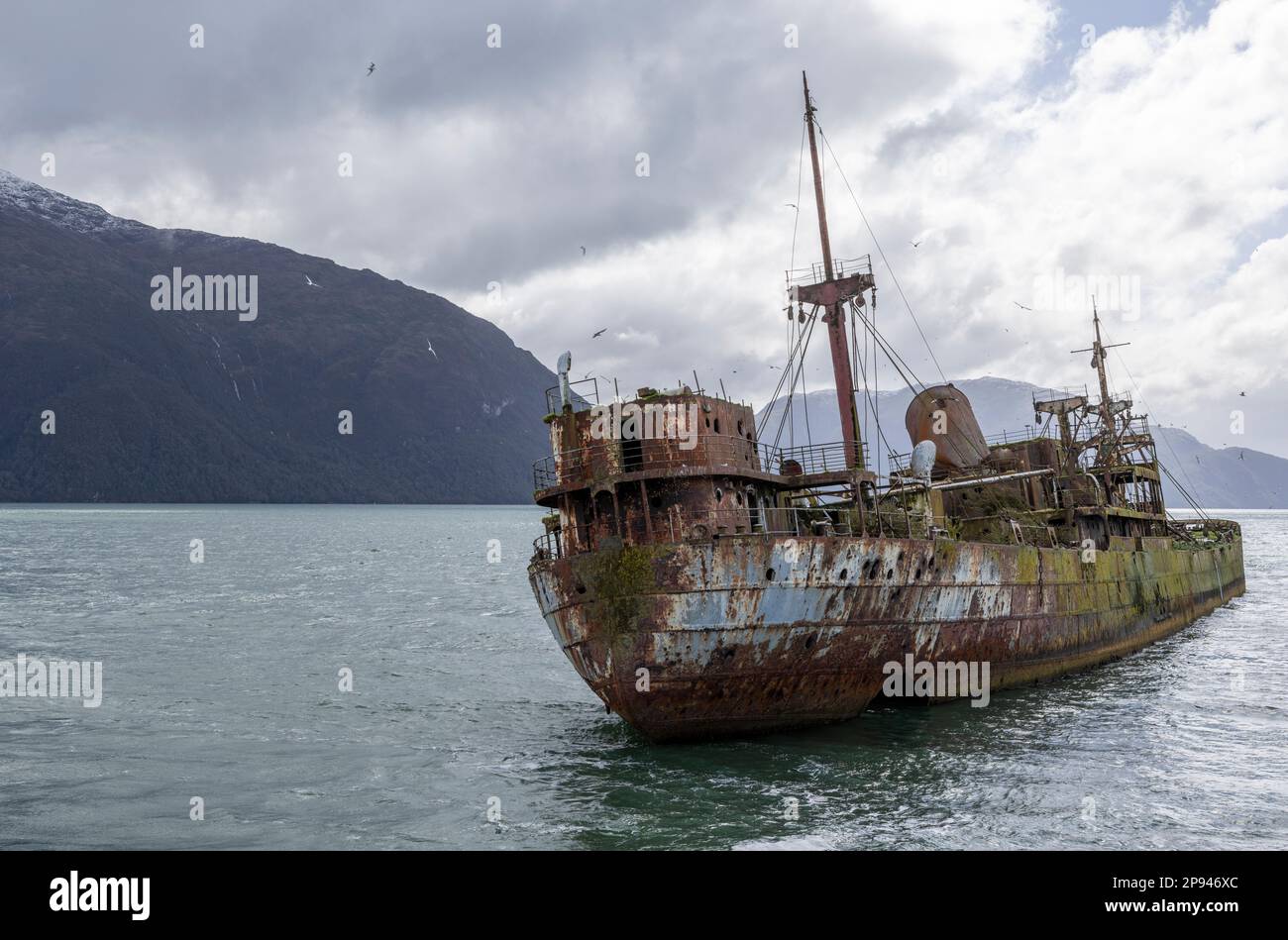 Wreck of MV Captain Leonidas, a freighter that ran aground on the Bajo ...