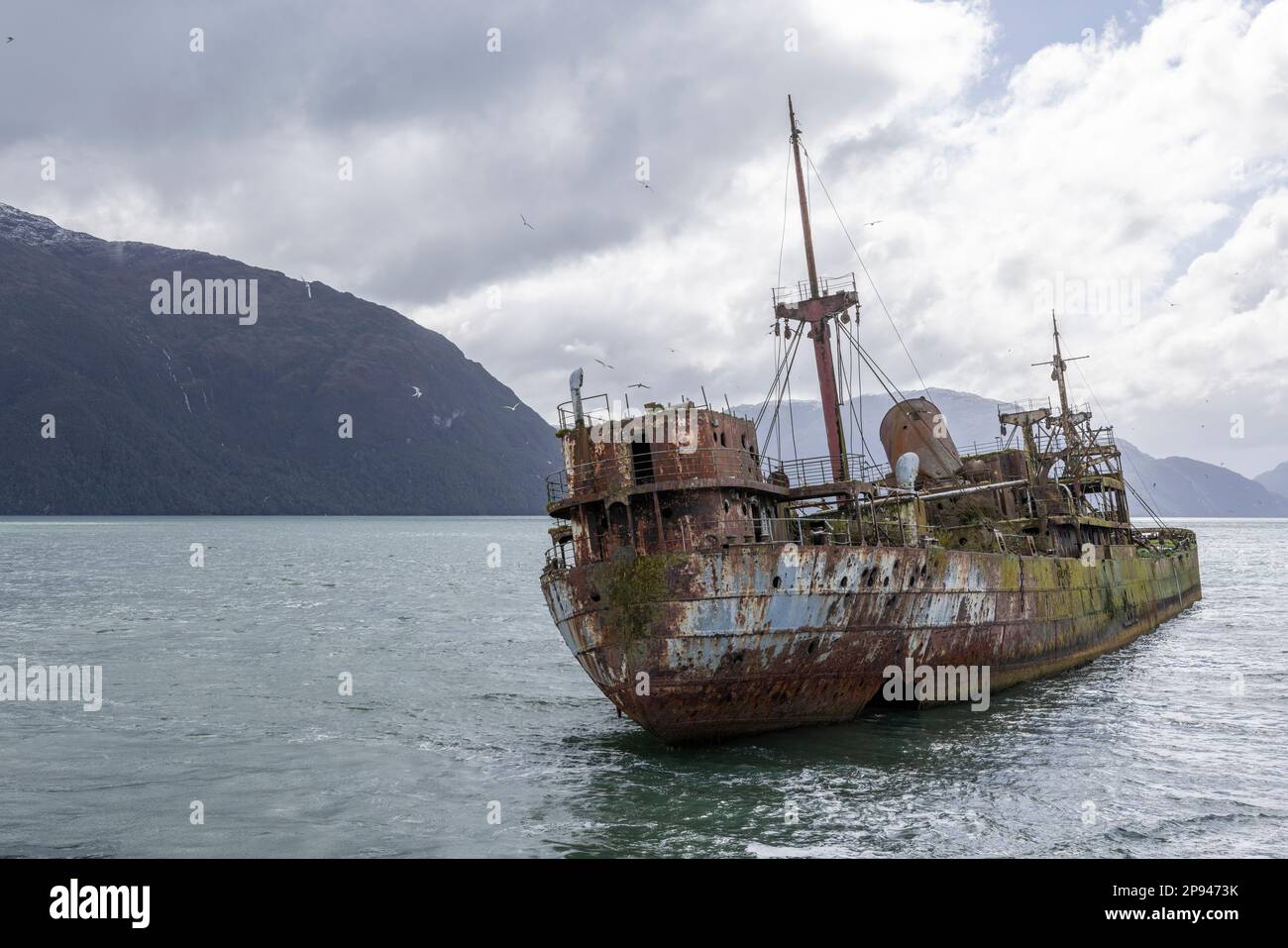 Wreck of MV Captain Leonidas, a freighter that ran aground on the Bajo ...