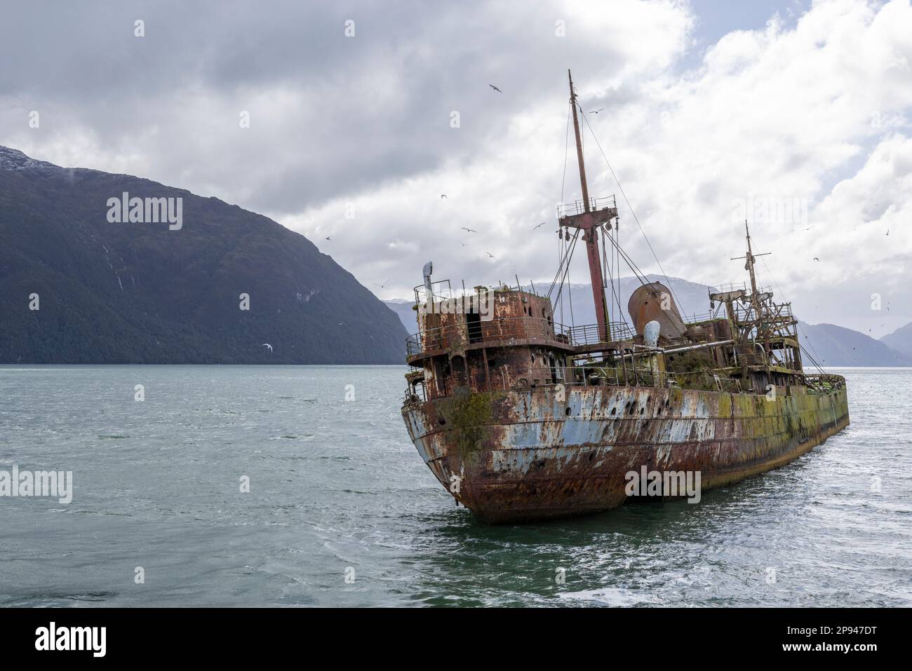 Wreck of MV Captain Leonidas, a freighter that ran aground on the Bajo ...