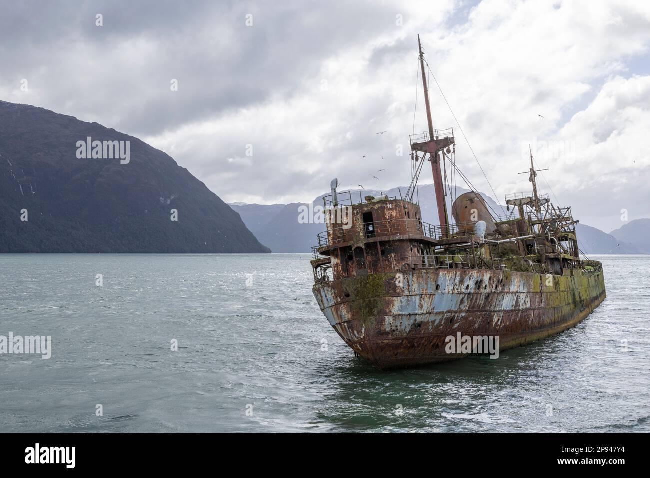 Wreck of MV Captain Leonidas, a freighter that ran aground on the Bajo ...