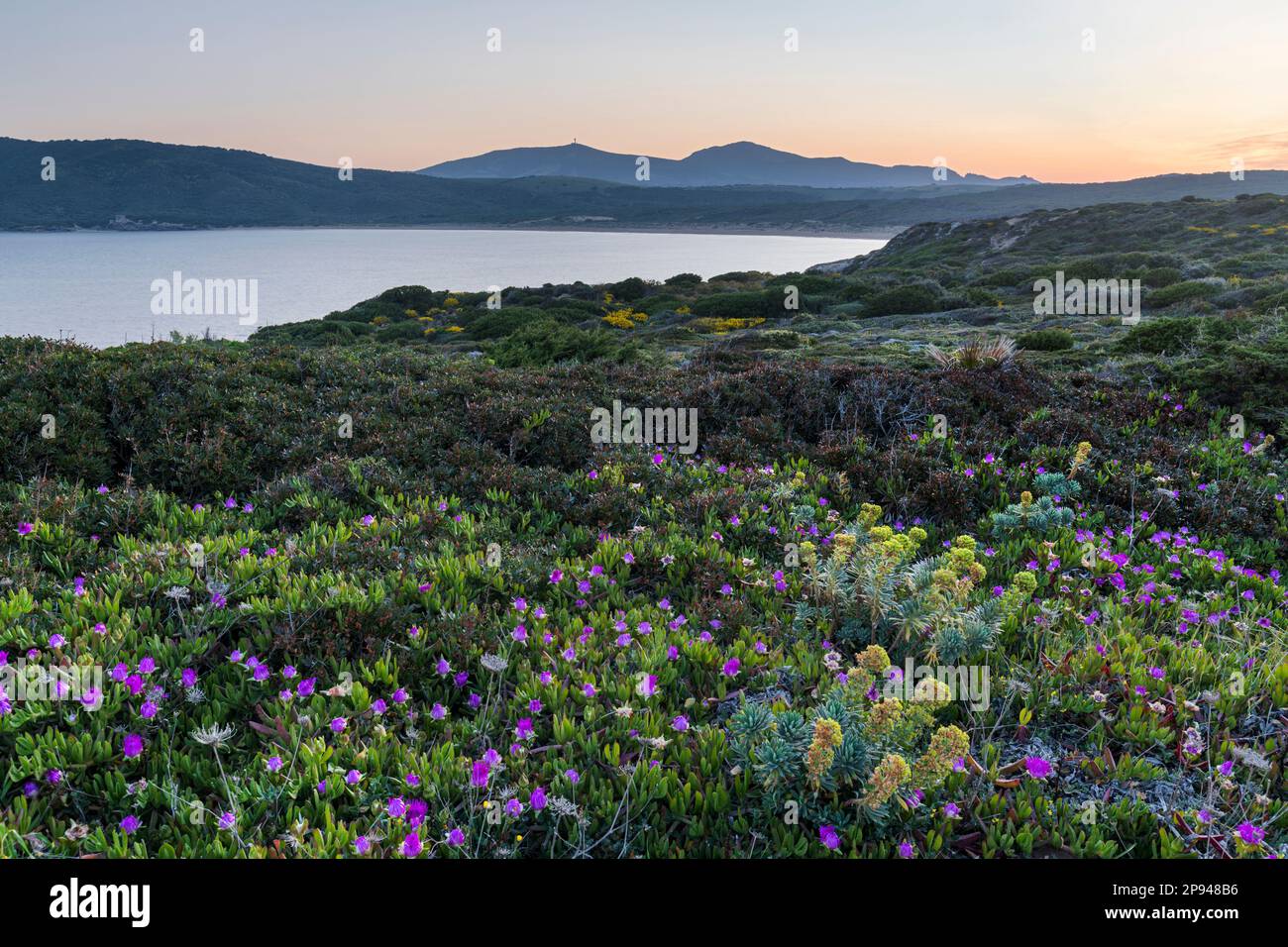 Coast near Spiaggia di Porto Ferro, Logudoro, Sardinia, Italy Stock ...