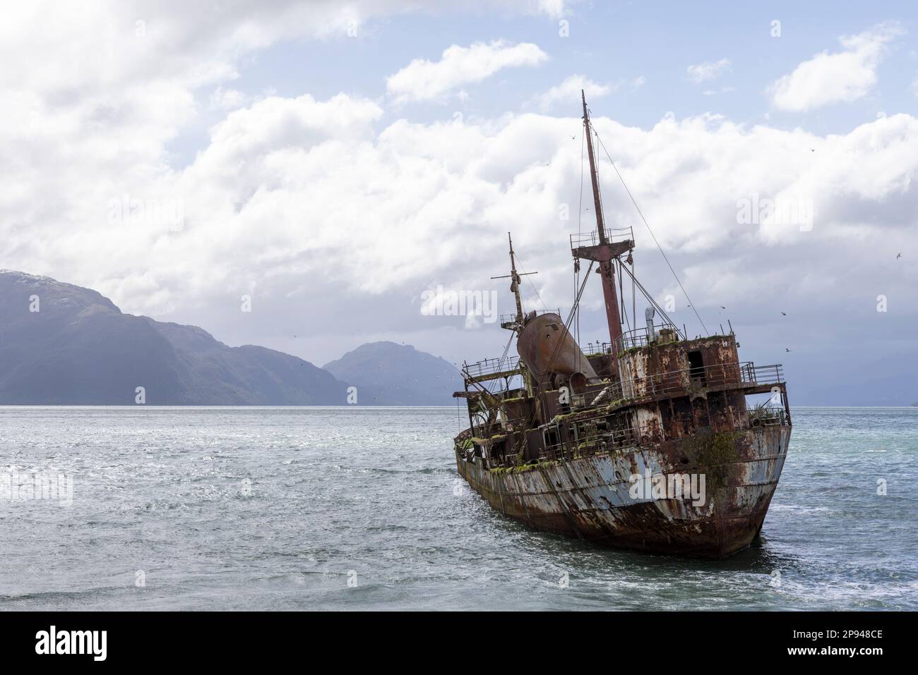 Wreck of MV Captain Leonidas, a freighter that ran aground on the Bajo ...