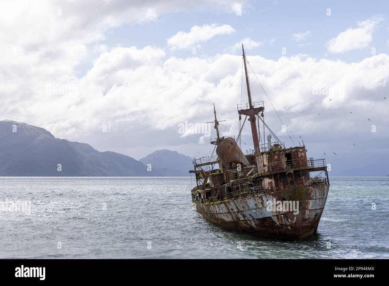 Wreck of MV Captain Leonidas, a freighter that ran aground on the Bajo ...