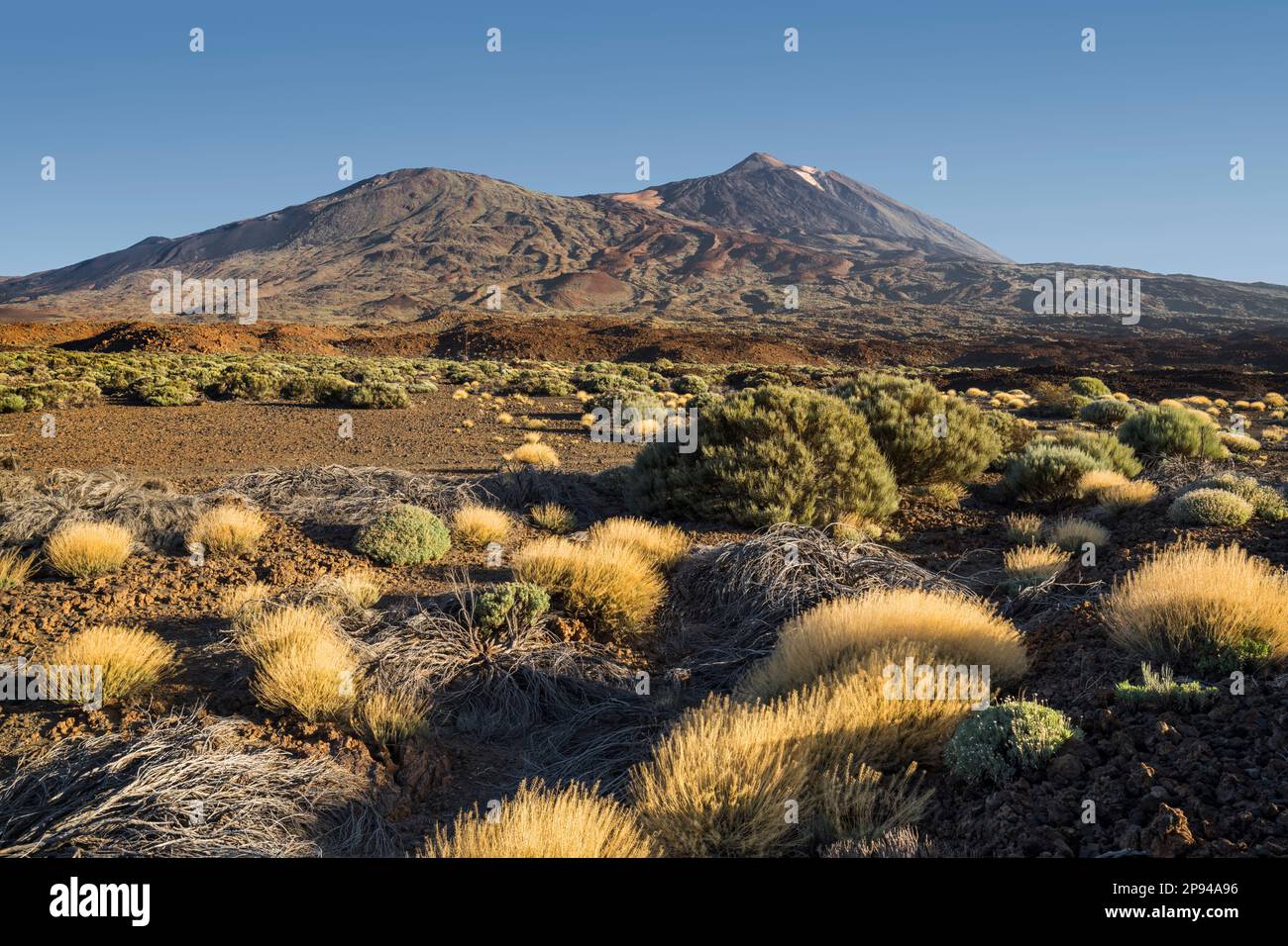 Teide Volcano of Llano de Ucanca, Teide National Park, Tenerife, Canary Islands, Spain Stock ...