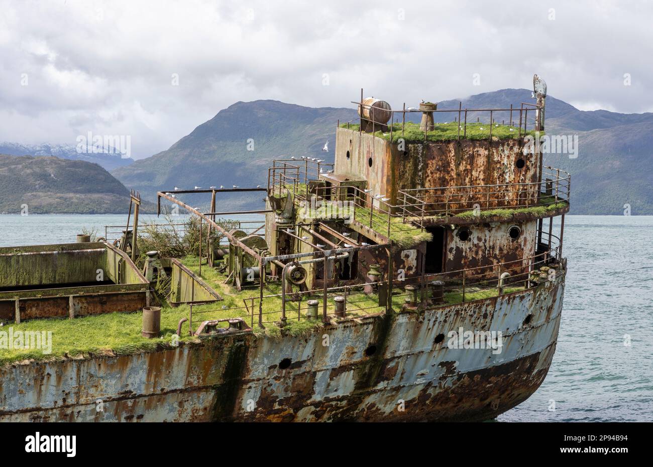 Wreck of MV Captain Leonidas, a freighter that ran aground on the Bajo ...