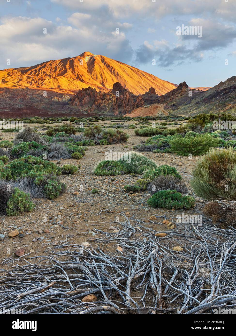 Teide Volcano of Llano de Ucanca, Teide National Park, Tenerife, Canary ...