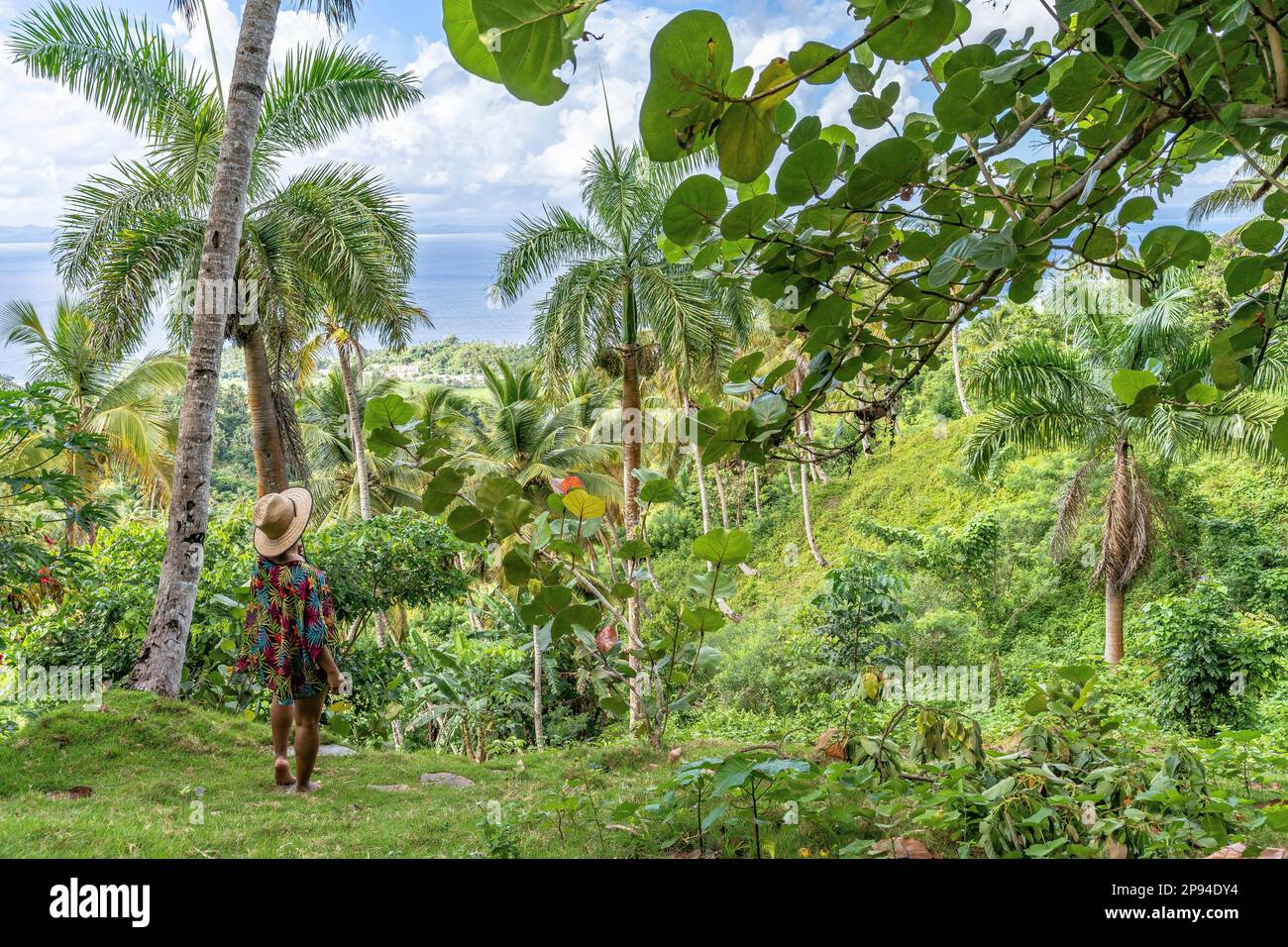 North America, Caribbean, Greater Antilles, Hispaniola Island ...
