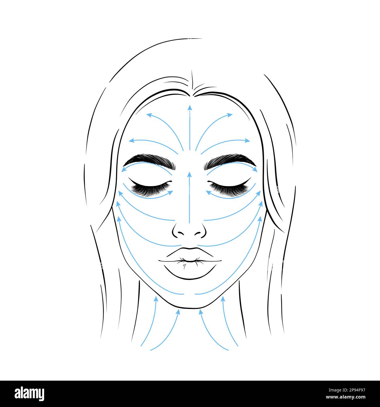 Skin scheme Stock Vector Images - Alamy