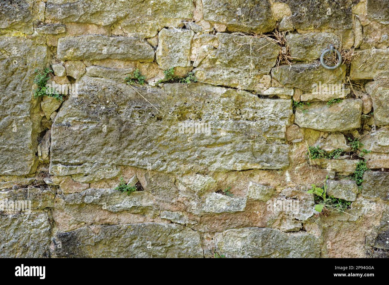 An image of a stone wall with patches of grass highlighting the cracks ...