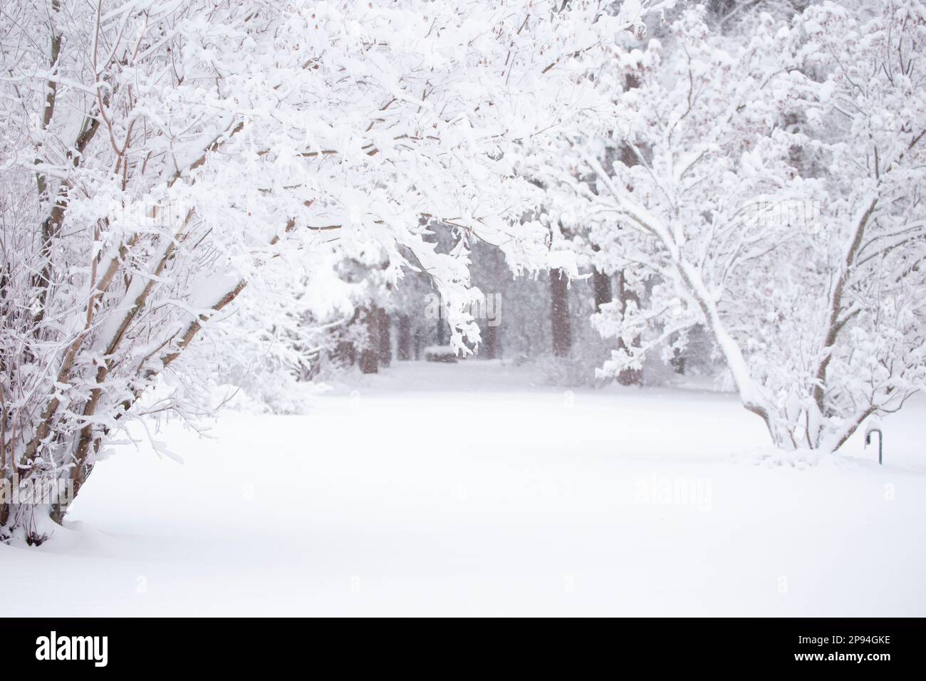 Wintry garden scene hi-res stock photography and images - Alamy