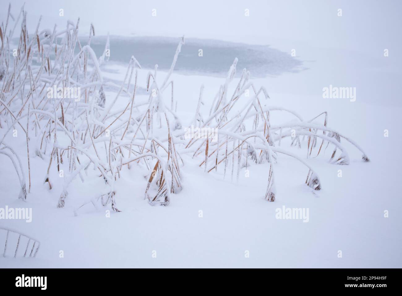 Bed of lake hi-res stock photography and images - Alamy