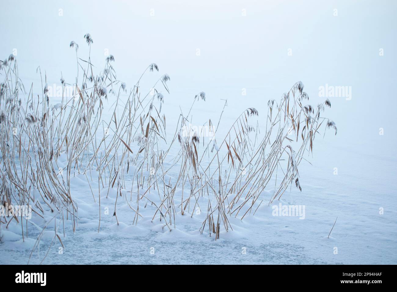 Bed of lake hi-res stock photography and images - Alamy