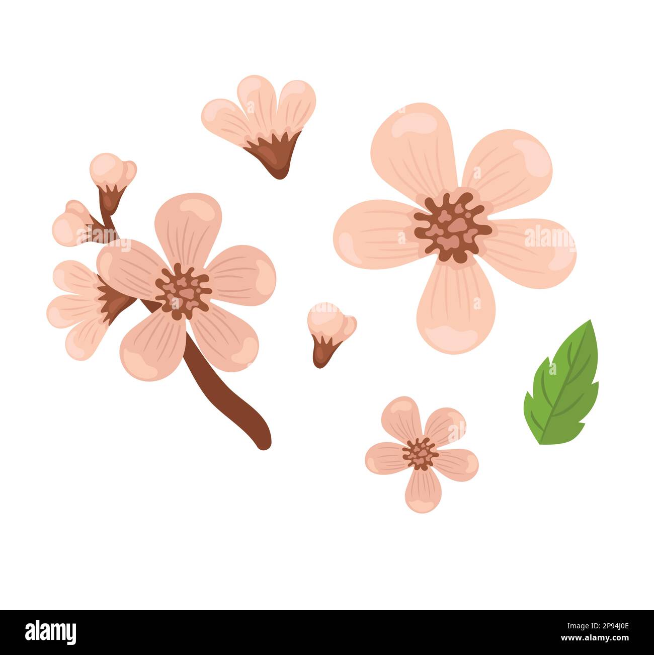 Cherry blossom season in japan Cut Out Stock Images & Pictures - Alamy