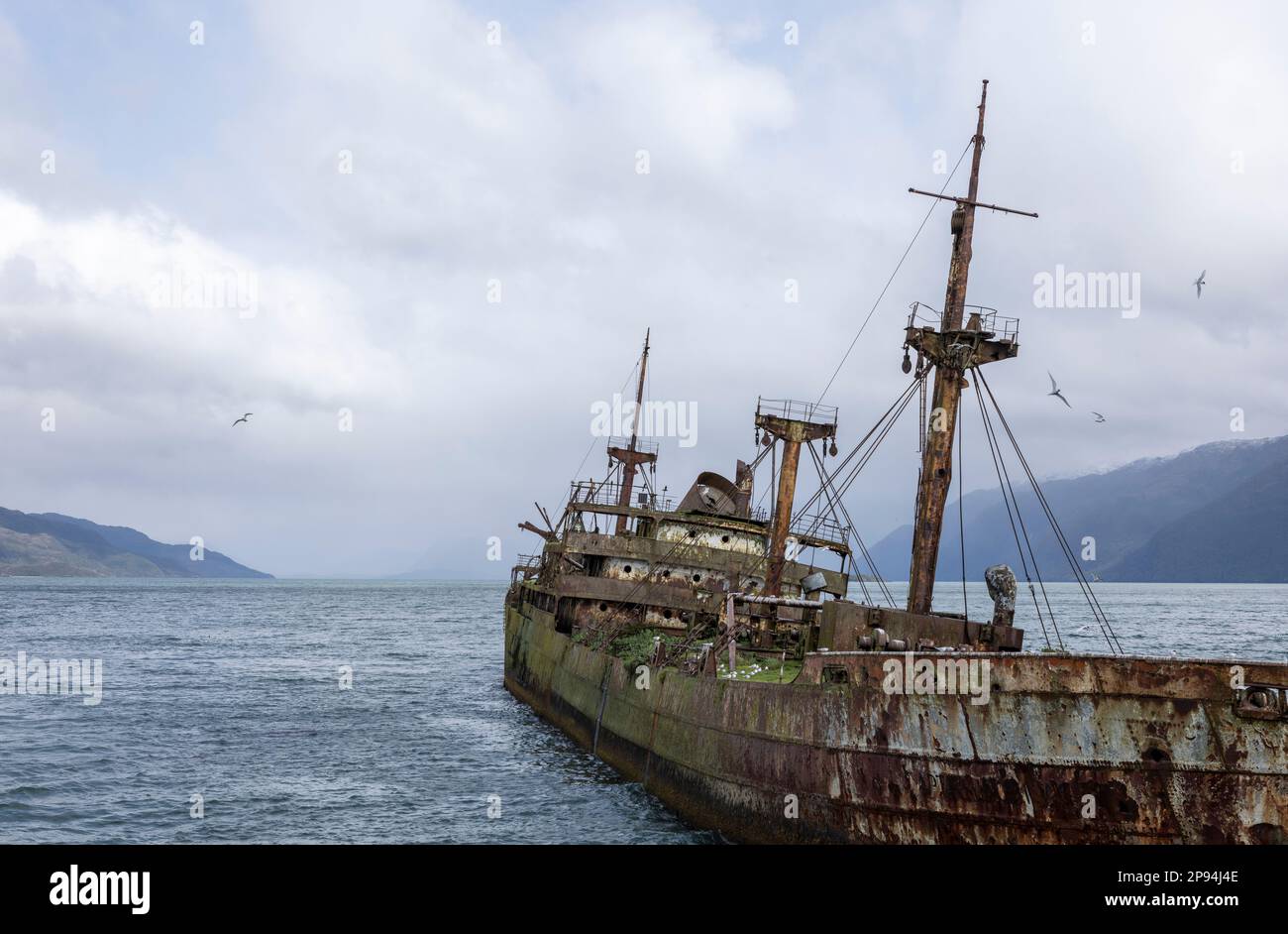 Wreck of MV Captain Leonidas, a freighter that ran aground on the Bajo ...
