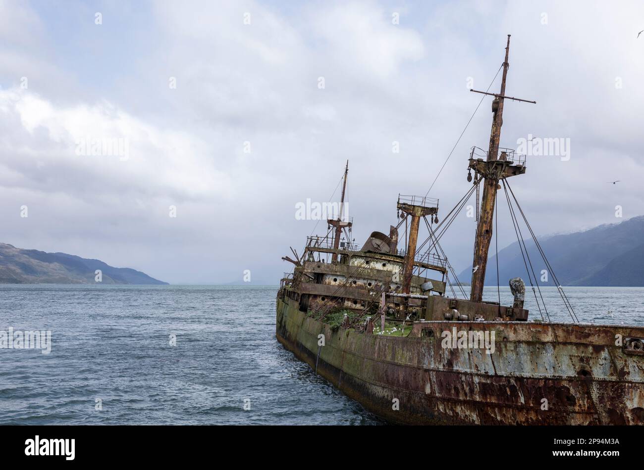 Wreck of MV Captain Leonidas, a freighter that ran aground on the Bajo ...