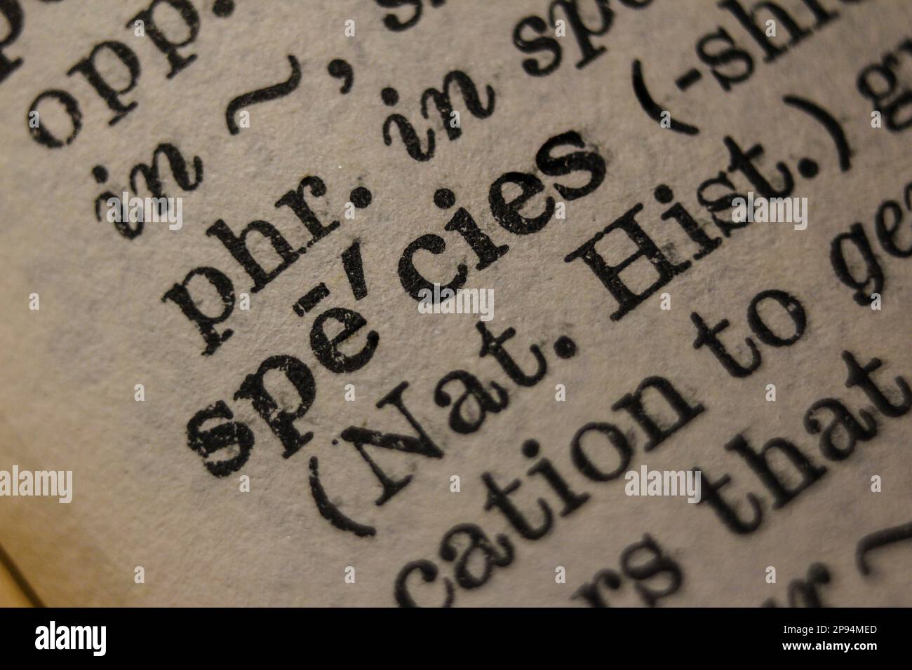 Definition of word species on dictionary page, close-up Stock Photo - Alamy