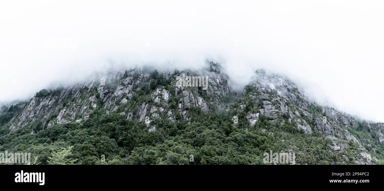 Landscape between Caleta Yungay and Tortel - traveling the Carretera ...