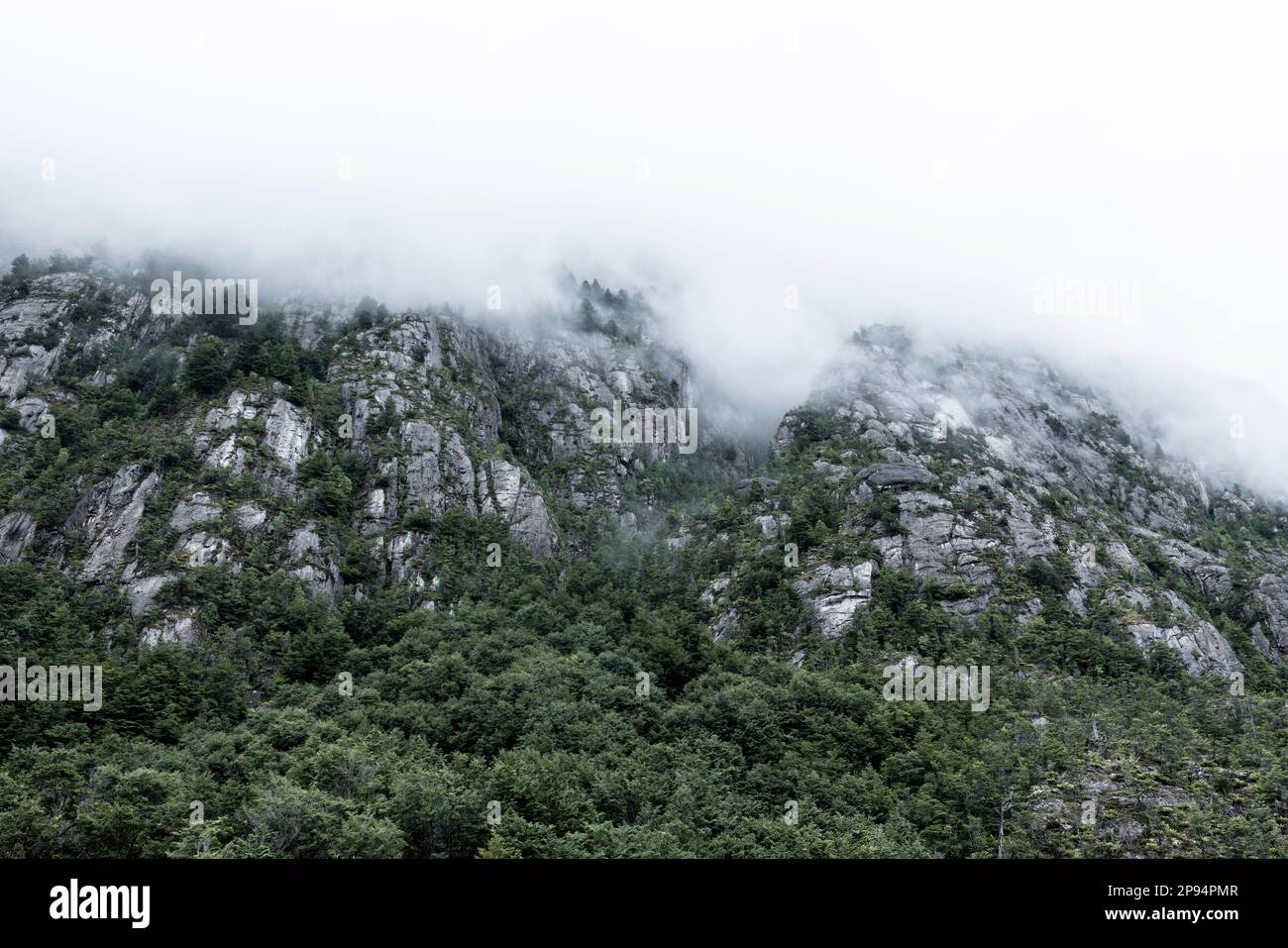 Landscape between Caleta Yungay and Tortel - traveling the Carretera ...